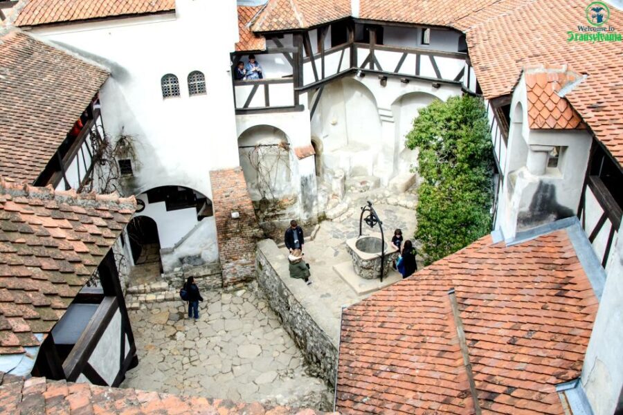 Visit Bear Sanctuary and Bran Castle from Brasov - The Visitor Experience: What Travelers Are Saying