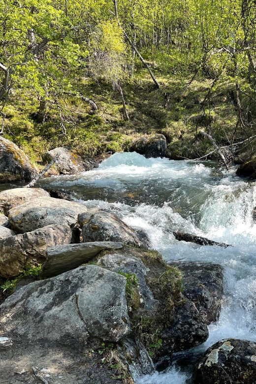 Visit Bubbelen, river comes out of the ground. - What Makes This Tour Special?