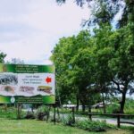 Visit Ella and Udawalawe Safari - 2 Days, All Inclusive - Day 2: The Highlands’ Natural and Architectural Gems