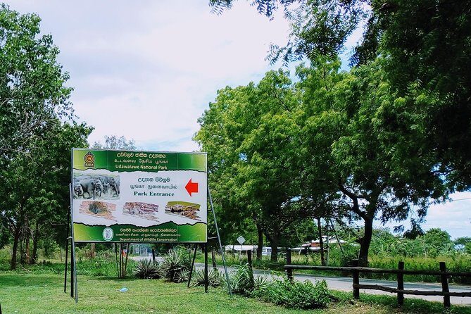 Visit Ella and Udawalawe Safari - 2 Days, All Inclusive - Day 2: The Highlands’ Natural and Architectural Gems