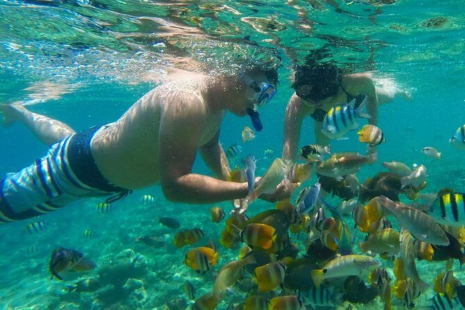 Visite L'île de Lombok: Pittoresque plage rose avec Guide Francophone - What We Love and Consider