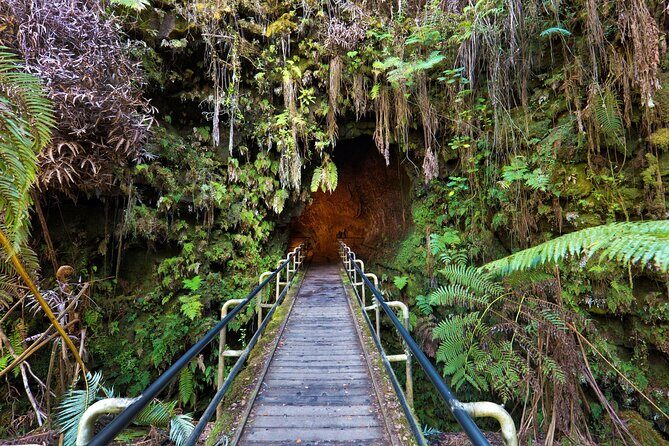 Volcanoes National Park: Guided, Small-Group Hike - The Cost and Value