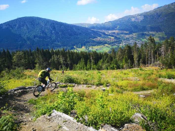Voss - Mountain Bike  Bømoem Forest - What to Expect: A Well-Rounded Mountain Biking Experience
