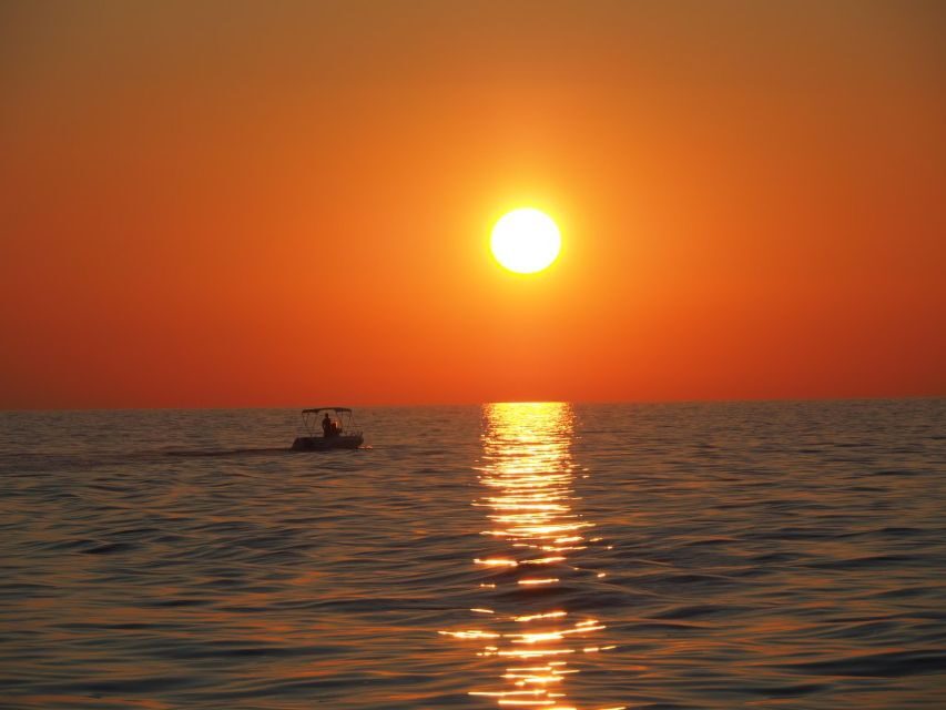 Vrsar: Dolphin Watching Boat Ride - Who Should Consider This Tour?
