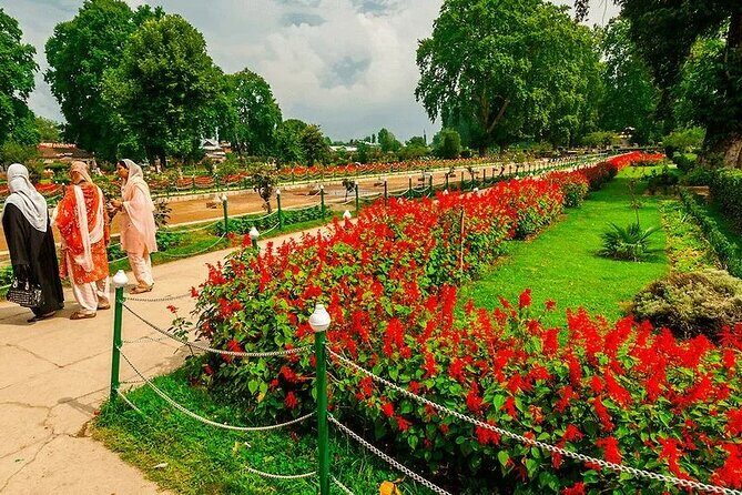 Wahga Border Flag Ceremony & Shalimar Garden Private Tour - Logistical Details and Practicalities