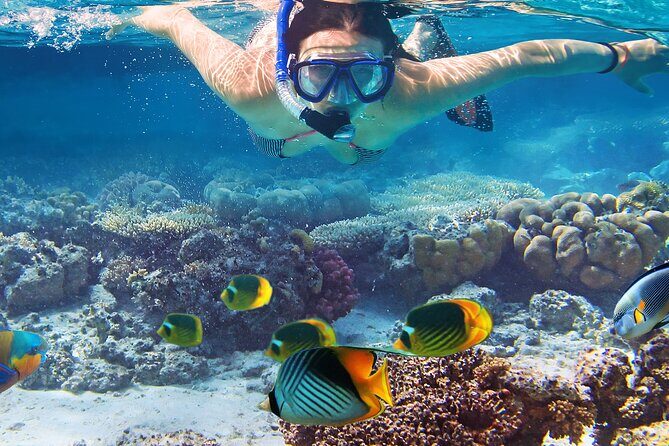 Waikiki Sail and Snorkel Adventure Best of Hawaii - Practical Tips for Your Trip