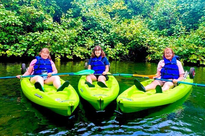 Wailoa River to King Kamehameha Statue Kayak Adventure - Who Will Enjoy This Tour?
