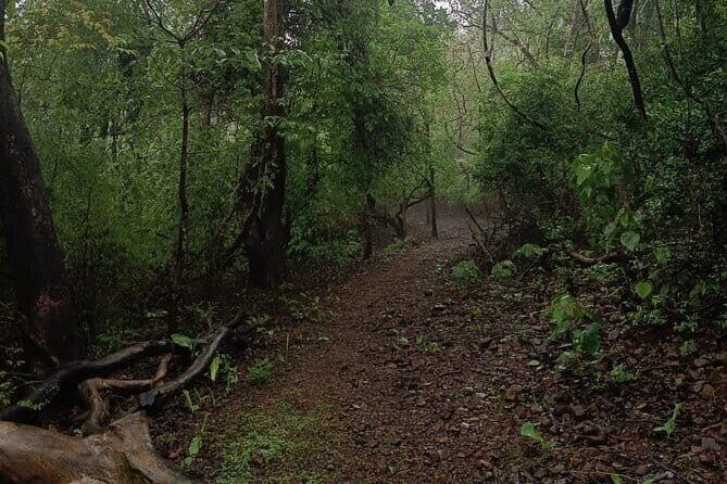 Walking Tour of Maharashatra Nature Park - Who Should Consider This Tour?