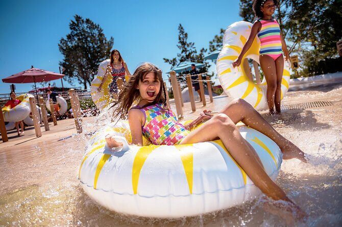 Walt Disney World Park Hopper Plus Tickets - Who Is This Ticket Best For?