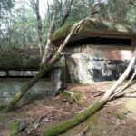 War Bunkers and Wildlife Kayak Tour in Sitka, Alaska - Practical Details