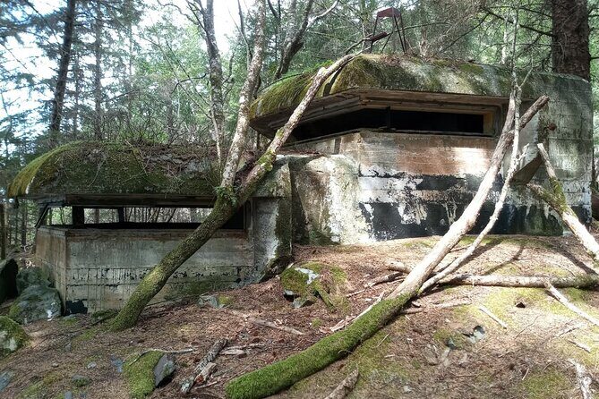 War Bunkers and Wildlife Kayak Tour in Sitka, Alaska - Practical Details