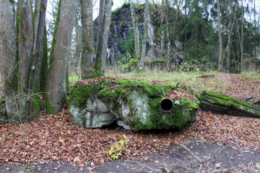 Warsaw: Private Full-Day Wolf's Lair Tour - The Experience of the Tour: Practical Details