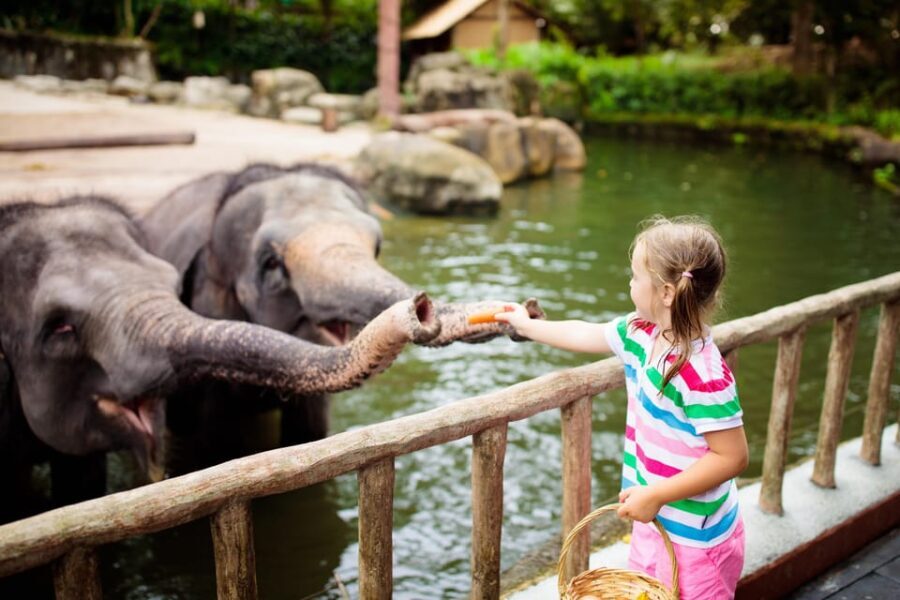 Warsaw Zoo Skip-the-Line Entry Ticket with Private Transport - Who Will Love This Tour?