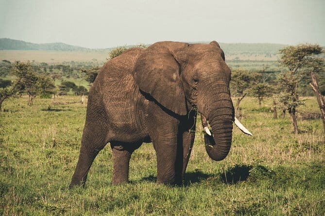 Wasgamuwa National Park Private Safari with Naturalist - Detailed Breakdown of the Experience