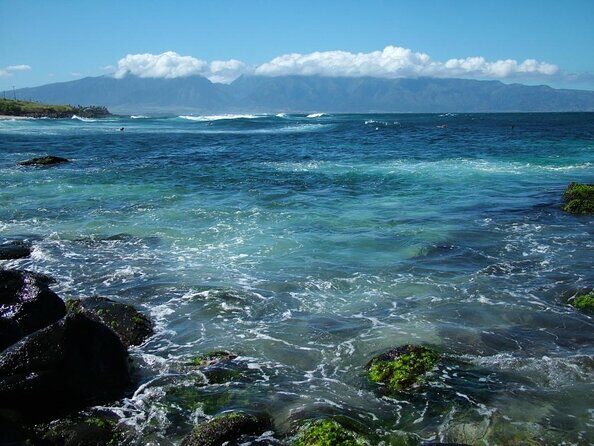 Waterfall and Rainforest Adventure - Who Will Love This Tour?