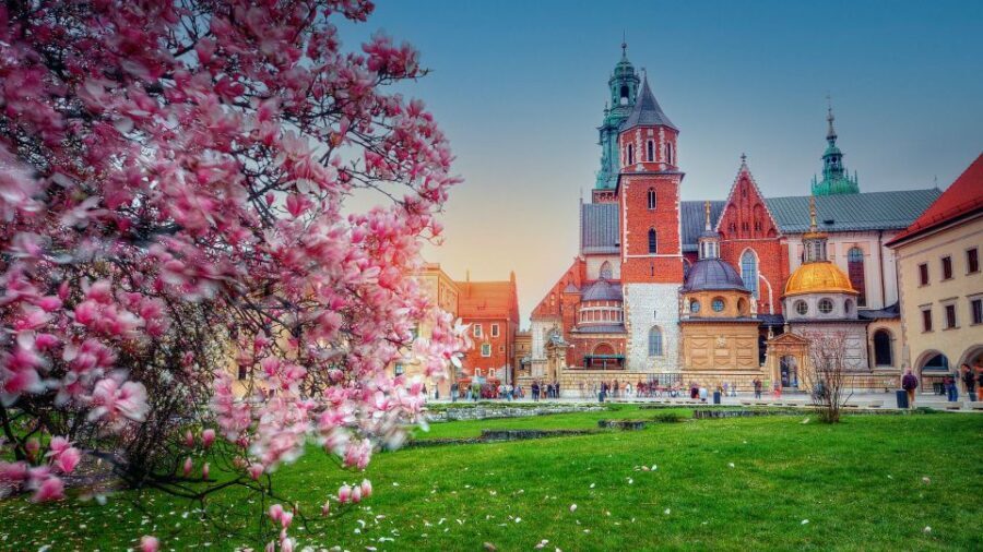 Wawel Hill Tour with Audio Guide - Who Will Appreciate This Tour?