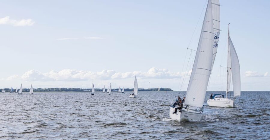 Wednesday Regatta with harbour tour - The Authentic Charm and Value of This Tour
