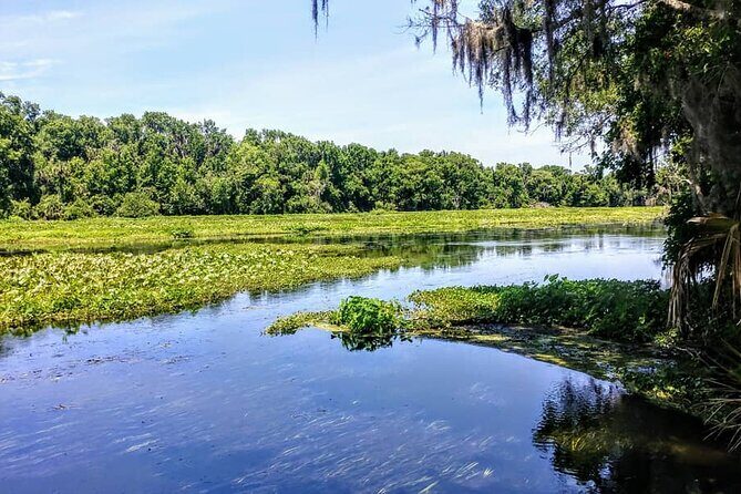 Wekiva Wildlife Kayaking Adventure Tour - An In-Depth Look at the Itinerary