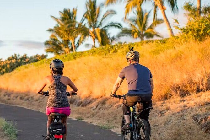 West Maui eBike Island Explorer Full-Day Rental - The Sum Up