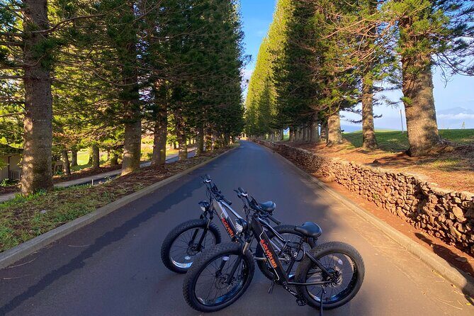 West Maui Electric Bike Rentals - What You Can Expect From Your Rental Experience