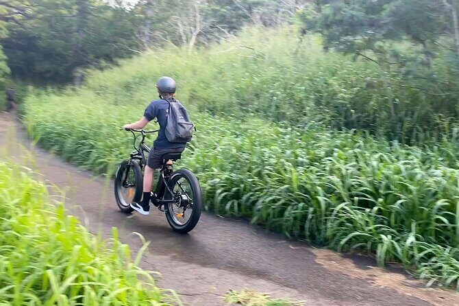 West Maui: Self-Guided E-Bike Kapalua Jungle Adventure Tour - The Pros and Cons