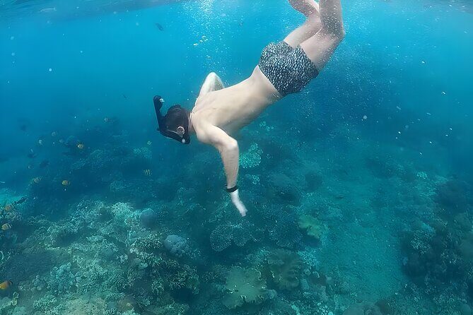 West Nusa Penida Island Snorkeling Tour - From Bali Island - The Itinerary Breakdown: What You Can Expect