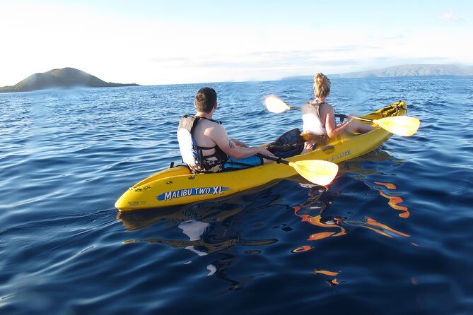 West Side Discovery Kayak & Snorkel Tour - Cost and Value Analysis