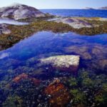 West Sweden: Self Guided Kayak Tour - Southern Route - The Itinerary: What to Expect Day by Day