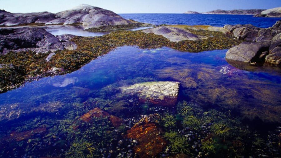 West Sweden: Self Guided Kayak Tour - Southern Route - The Itinerary: What to Expect Day by Day