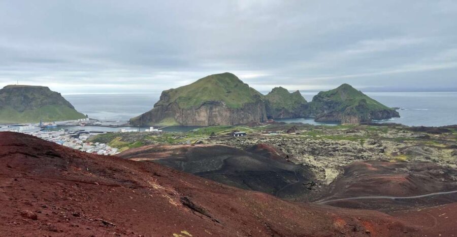 Westman islands Private tour - The Value and Considerations