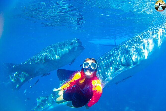 Whale Shark Swimming, Tumalog Falls and Kawasan Canyoneering - The Experience: Pros and Cons