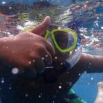 Whale Watching Catamaran Cruise with Transfer, Buffet by MC - The Itinerary in Detail