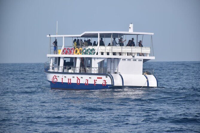 Whale Watching Galle with Pickup & Drop - Final Thoughts