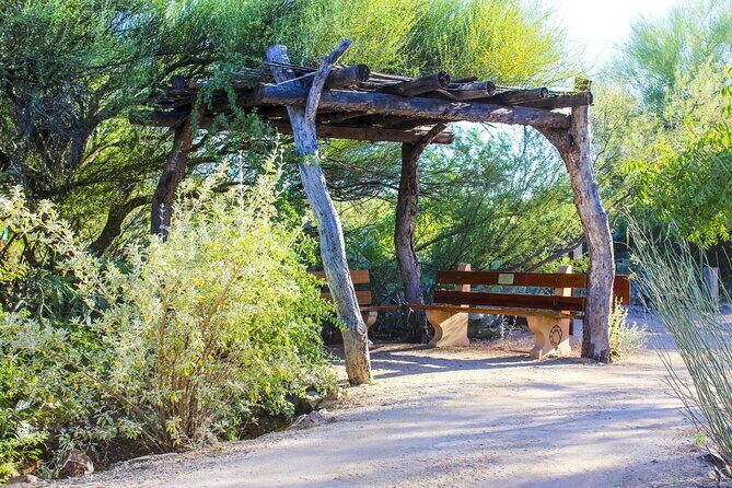 When Nature Calls - Exploring the Sonoran Desert - Why This Tour Offers Great Value
