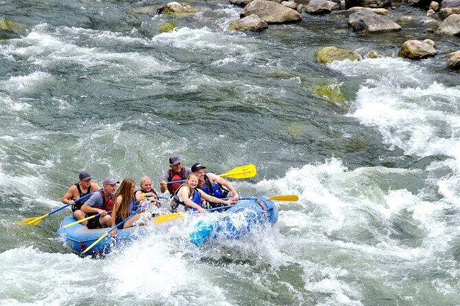 Whitewater Rafting the Salmon River - Full Day - An In-Depth Look at the Salmon River Rafting Experience