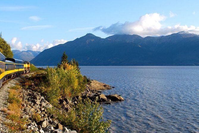 Whittier to Anchorage Cruise Transfer and Private Tour - What Travelers Love (and What to Consider)