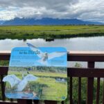 Whittier to Anchorage Land Transfer Tour With AWCC - What the Reviews Say