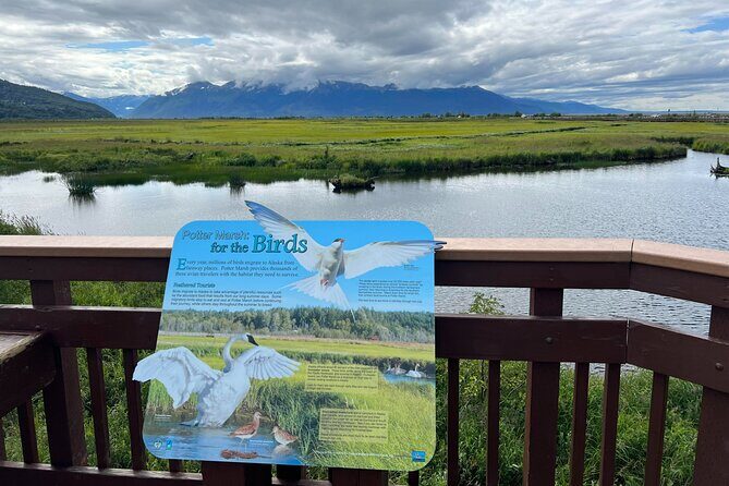 Whittier to Anchorage Land Transfer Tour With AWCC - What the Reviews Say