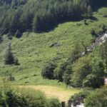 Wicklow Mountains Private Day Tour including Glendalough - Who Would Love This Tour?
