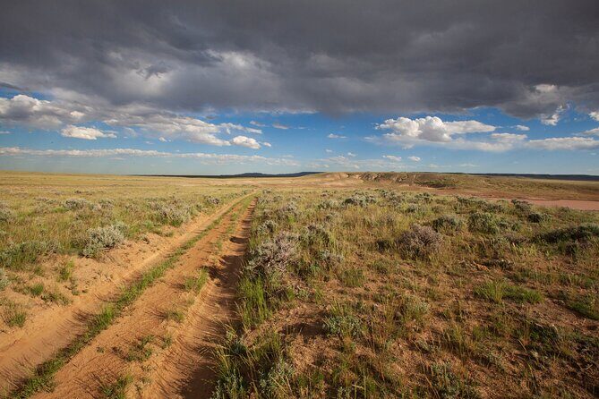 Wild Mustang Half Day Tour - Cody Wyoming - Private - What’s Included and Why It Matters