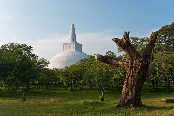 Wild Wonders and Sacred Spaces Tour from Hikkaduwa (2 Days) - Practical Details and What You Can Expect