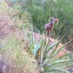 Wilderness Hiking Tours - Reviewing the Experience: Authentic Feedback