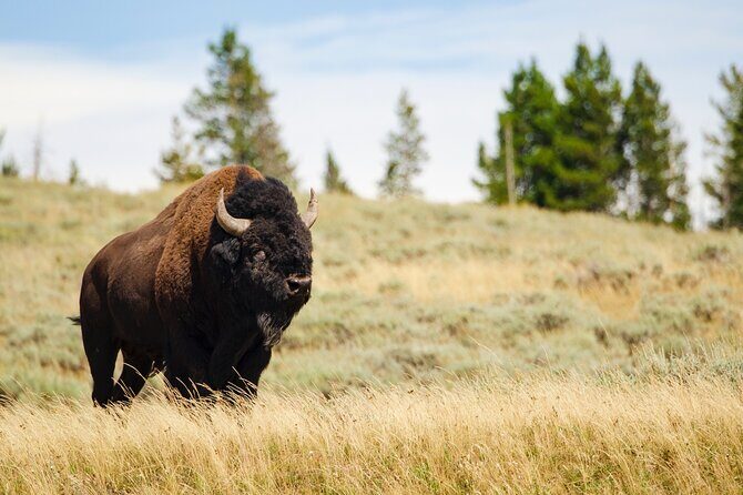 Wildlife and Waterfalls - Booking and Practical Considerations