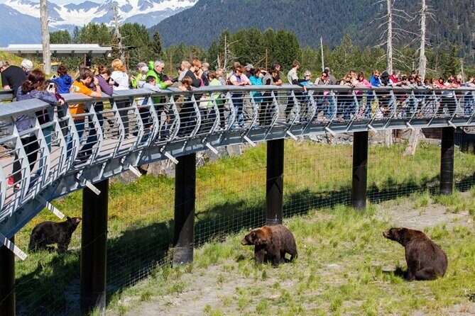 Wildlife Conservation Center and Portage Glacier Lake Viewing - What Travelers Say: Authentic Perspectives