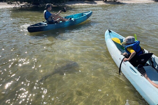 Wildlife Refuge Sunset Dolphin, Manatee & Mangrove Kayak or Paddleboarding Tour! - Itinerary Breakdown: What to Expect