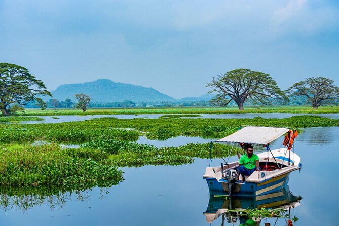 Wildlife safari at Yala National Park - The Sum Up