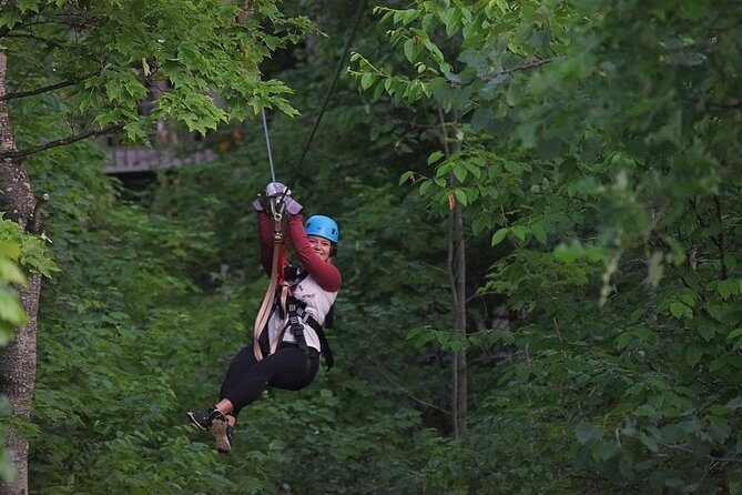 Wildman Zip Line Tour - Why This Tour Is a Great Choice