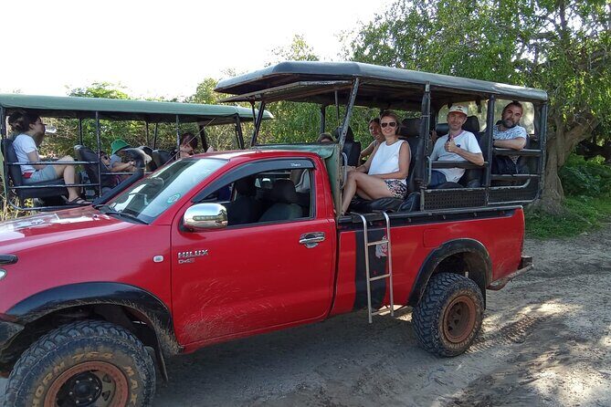Wilpattu National Park Leopard safari from Colombo/Negambo - Transportation and Practical Details