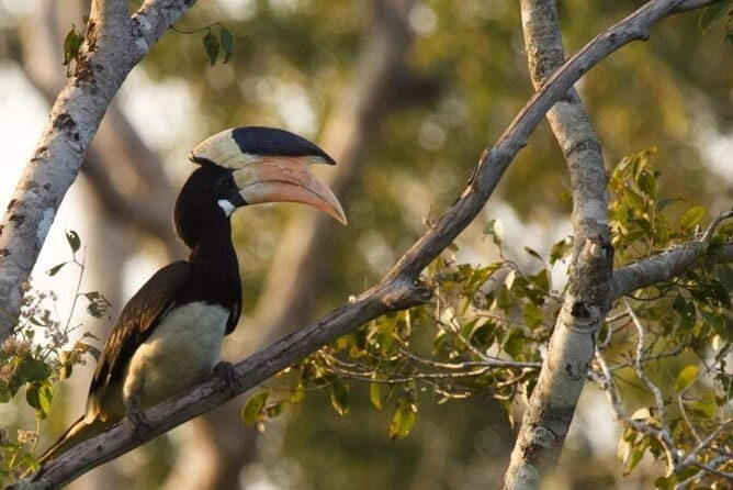 Wilpattu National Park Private Full Day Safari From Negombo - Why This Tour Is Worth Considering