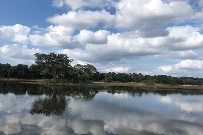 Wilpattu Safari tour from Negombo - The Sum Up: Is This Tour Worth It?